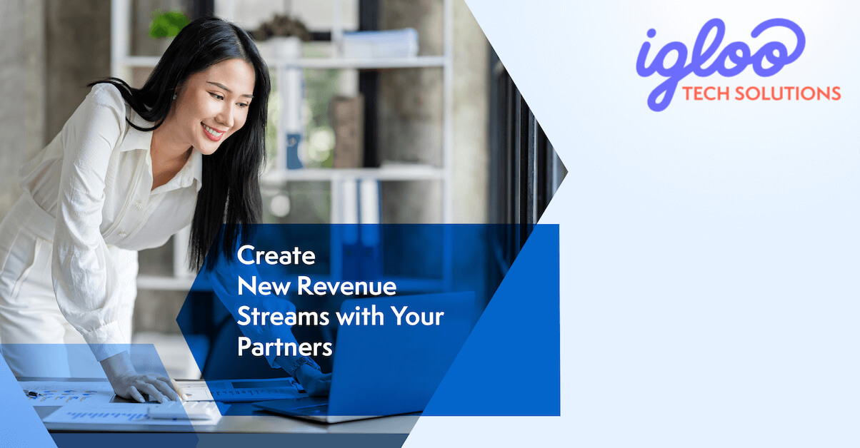 Affinity Partner Insurance Sales Solution | Igloo