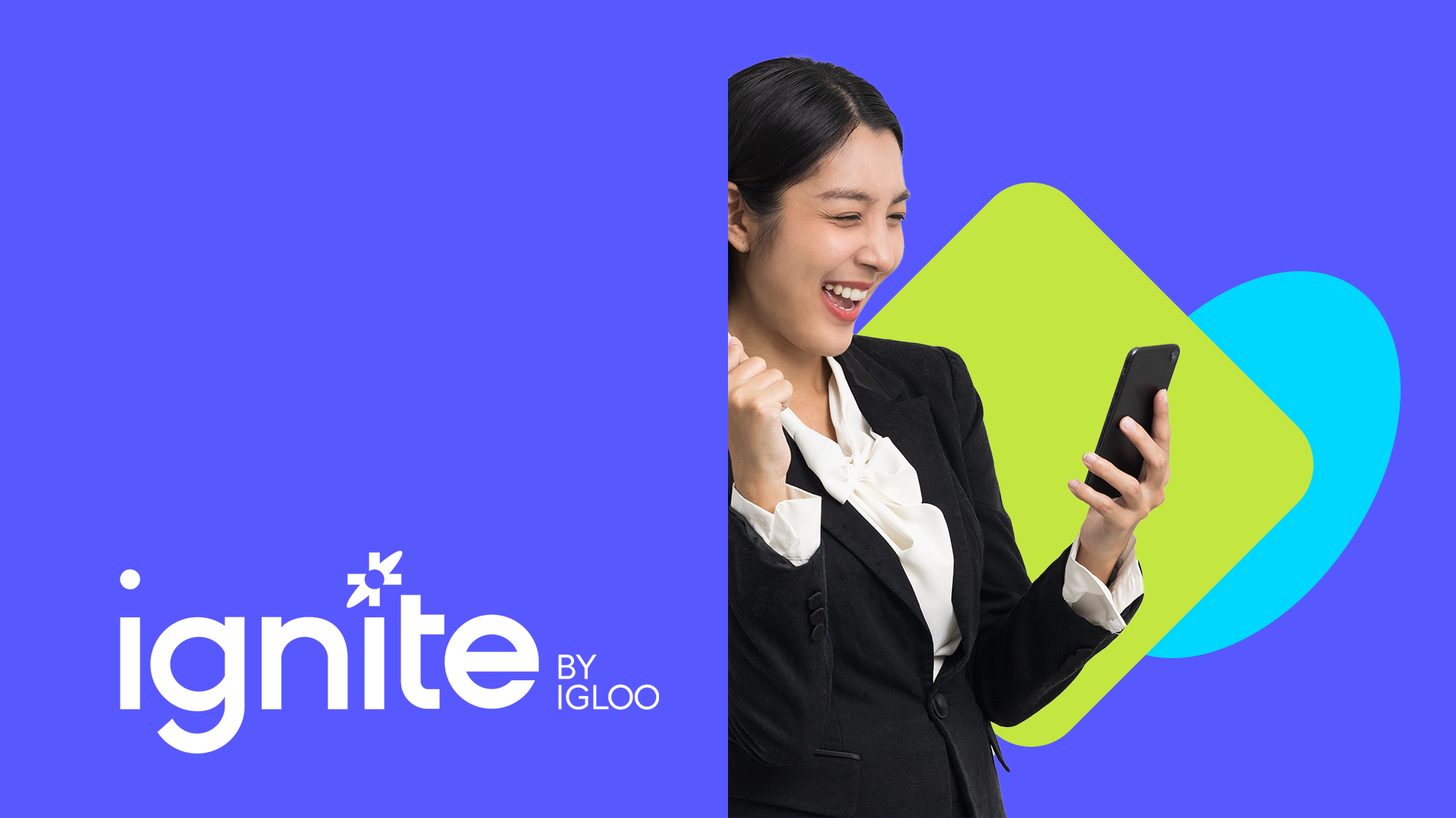 Igloo Zendesk Integration Igloo Software