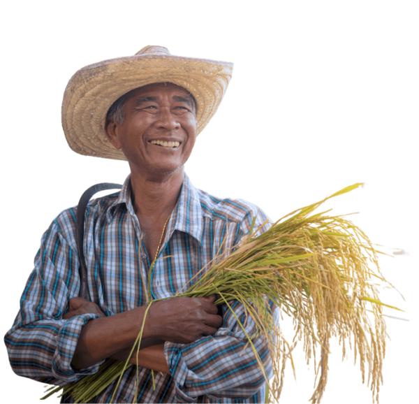 Award-winning Weather Index Insurance Solution | Igloo Insure